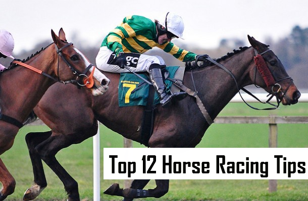 Basics of Betting Tip. Have you ever wanted to bet on a horse… | by ...