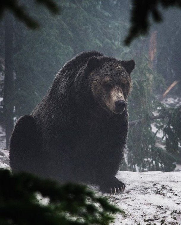 The Power of Gratitude: How Keeping a Journal Can Change Your Life | by ...