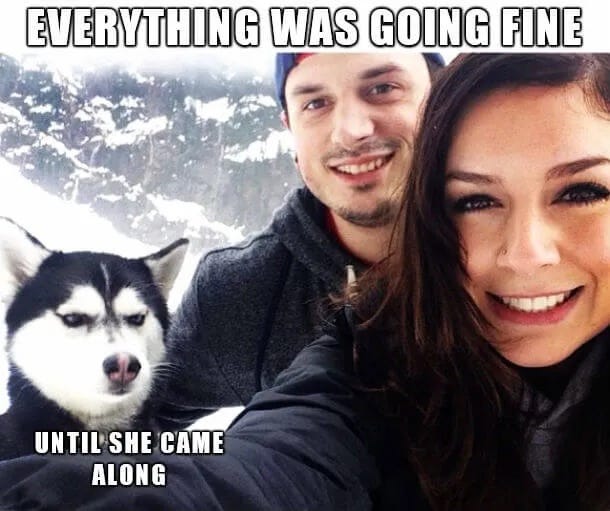 Come Back Here Meme