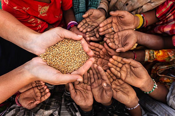Ending Hunger Once And For All. Imagine living in a place where food ...