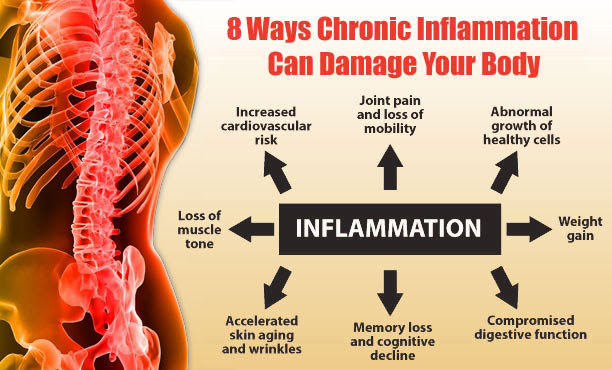 Diseases Related to Chronic Inflammation Are The Leading Cause Of Death ...