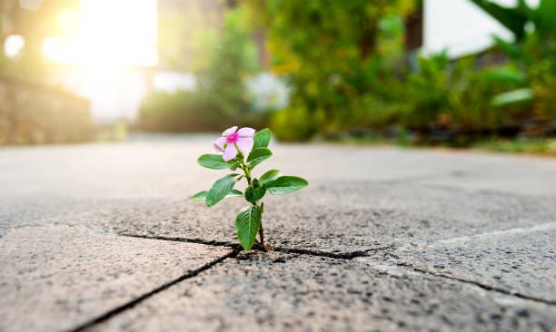 Why being a "passive dependent individual" is ruining your chances for ...