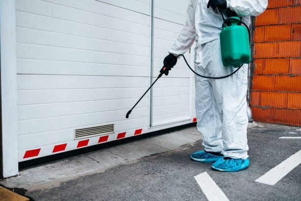 6 Ideas On How To Pick Termite Treatment Kissimmee Company | by ...