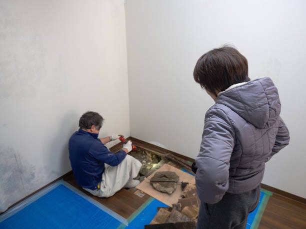 The Ultimate Guide to Crawl Space Cleaning: Everything You Need to Know ...