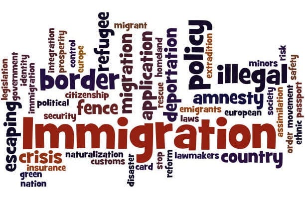 Bridging the Gap: Immigration Support Services and Mental Health for ...