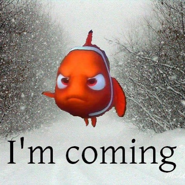 Drunk Bouncer Memes CRIKEY: Nemo Is Coming For Us, Y'all | By NYU