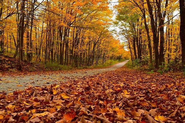 Moments of Wisdom: 27 Life Lessons to Live Fully | by Isabella | Jan ...