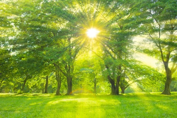 How Does The Sun Produce Energy?. The Sun produces energy through a ...