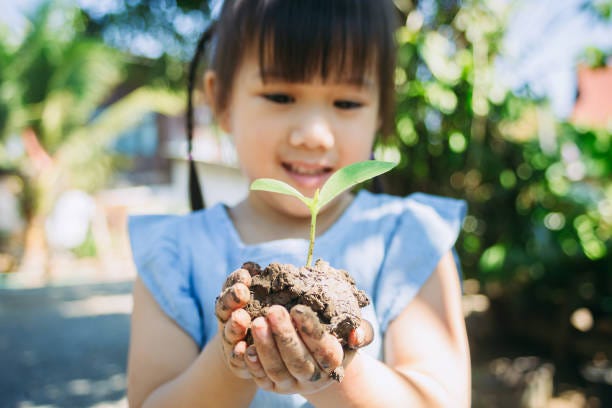 At a Crossroads: Action to Address Young Children, the Environment and ...