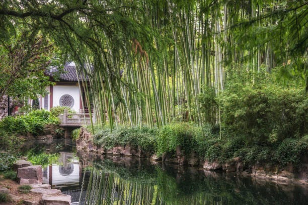 Revisiting the Land I Called Home: My 3 Weeks in China — Architecture ...