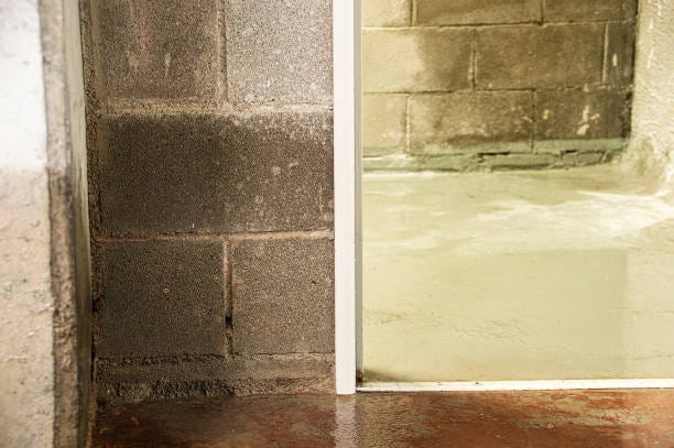 Sewer Backflow: What You Need to Know | by William Koonce | Nov, 2023 ...