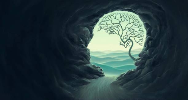 Nurturing Wellbeing: Embracing Mindfulness, Gratitude, and Self ...