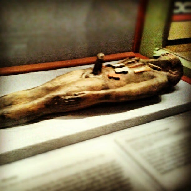 Tutankhamun’s penis was fully ERECT when he was mummified | by KING OF ...