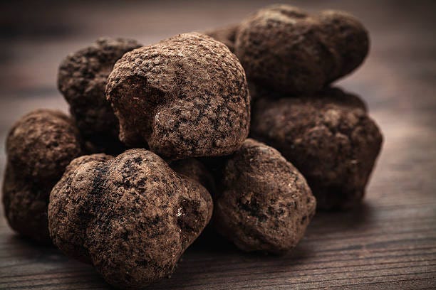 The Enigmatic World of Truffles: Luxury, Flavor, and the Hunt for ...