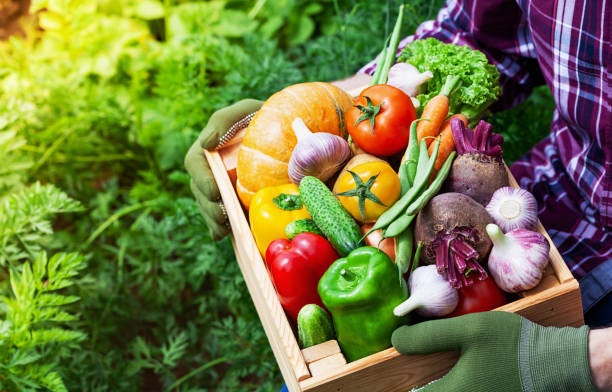 How to Tell if Your Food is Truly Fresh | by Prizaar HQ | Medium
