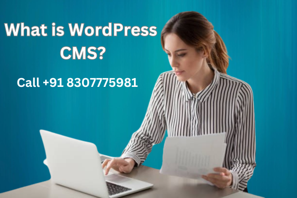 What is WordPress CMS?. for WordPress CMS call +91 8307775981 | by ...