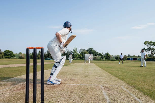 Sure! Here’s a comprehensive overview of cricket, protecting its ...