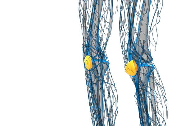 Peripheral Nerve Stimulators (PNS) Market Size 2022 Industry Recent ...