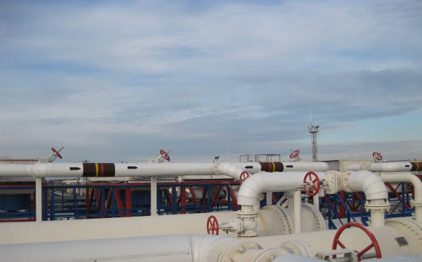 A thorough analysis predicted the Rich Gas Compressor Market size would ...