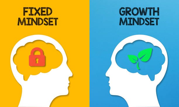 Can Mindset Be Changed?. Your mindset is how you feel about… | by ...