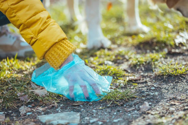 Dog Poop Removal: Keeping Our Communities Clean and Safe | by Doody ...