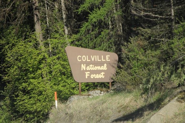 Ten Things You Might not Know about the Colville National Forest | by ...