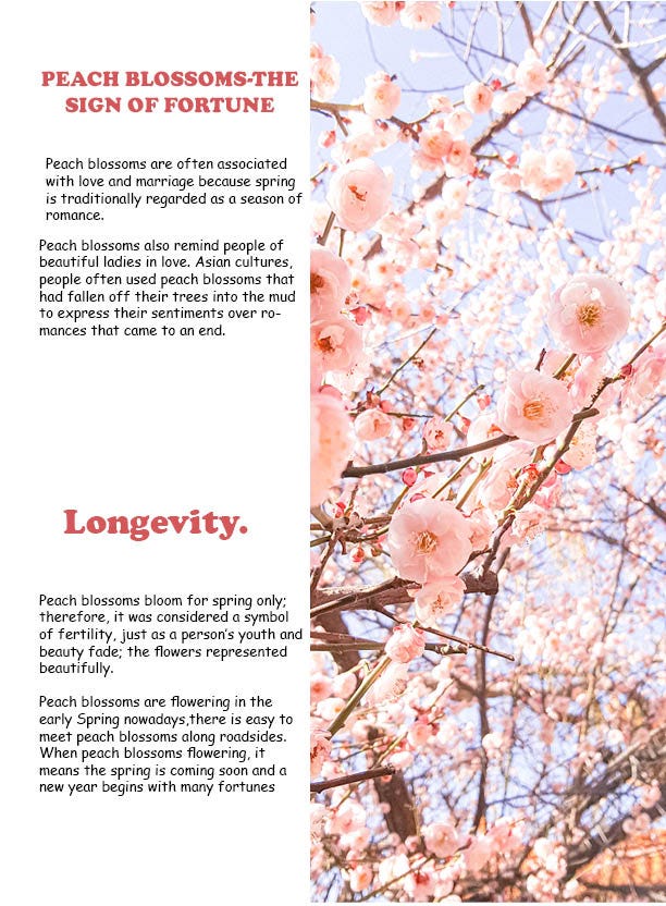 Indesign-MCom 63 Final Assignment | by Linh Thieu | Medium