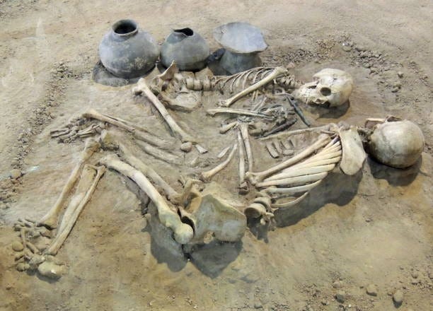 Shocking Discovery: Neanderthals Had Tuberculosis 35,000 Years Ago ...