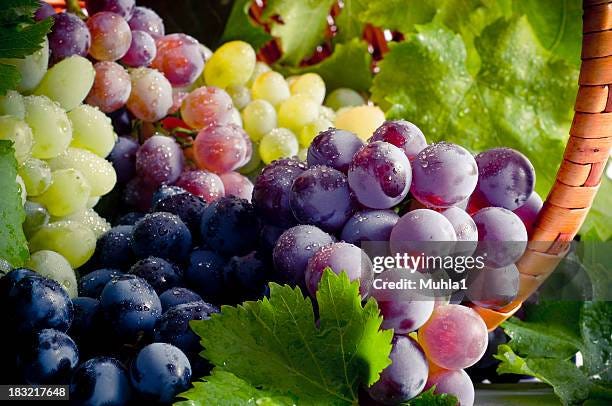 Grapes in skincare: Nature's gifts on the way to brighter-looking skin ...
