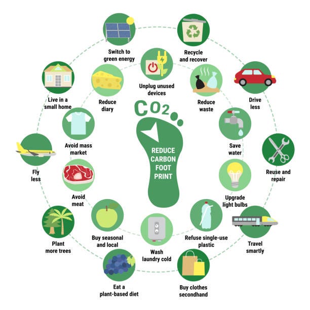 What is a carbon footprint? | by OJ Njoku | Medium