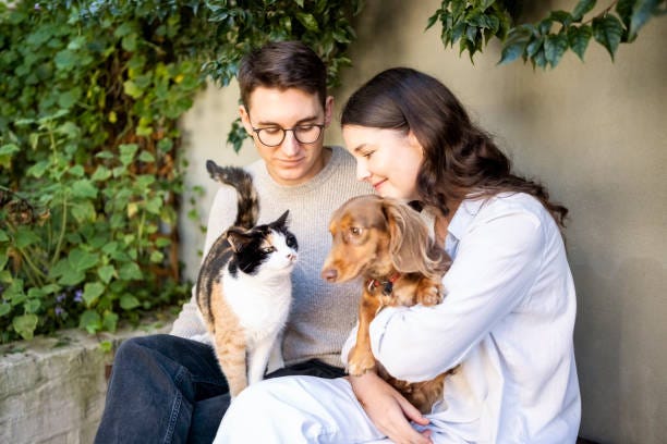 Pet Parenting: Lifestyle Tips for Happy Pets and Owners | by Aqdas ...