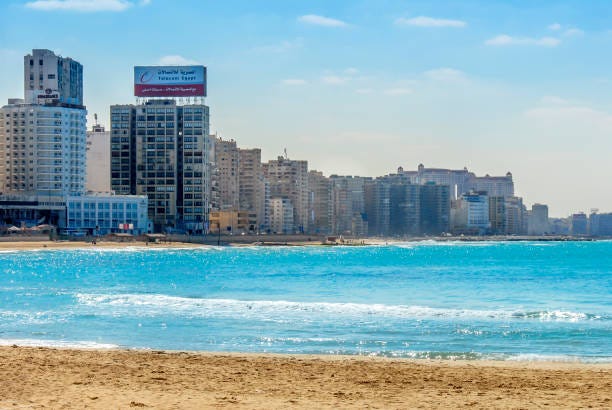 "Discover the Best of Alexandria: A Complete Guide to Must-See ...