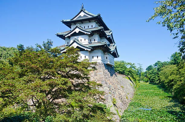 With A2 Japan’s Cherry Blossom Tour Package, you can experience the ...