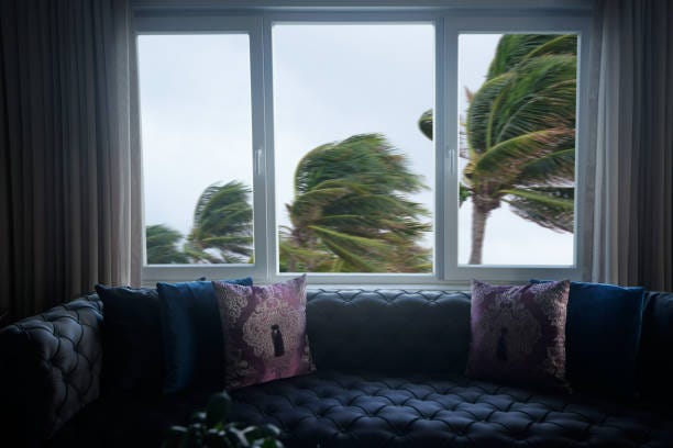 How can I blame the wind for the mess it made, if it was I who opened ...