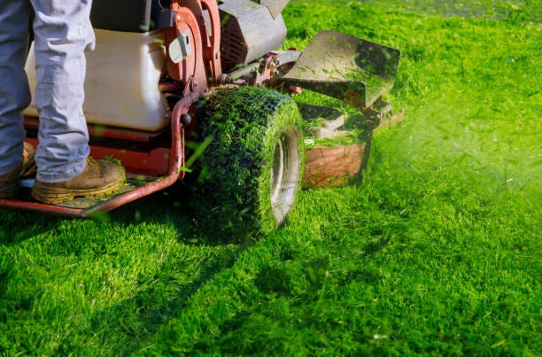 Transform Your Lawn with Top-Notch Lawn Care Services in Florida | by ...