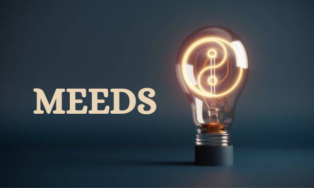 Introducing Meeds: A Revolutionary Platform for Sustainable Development ...