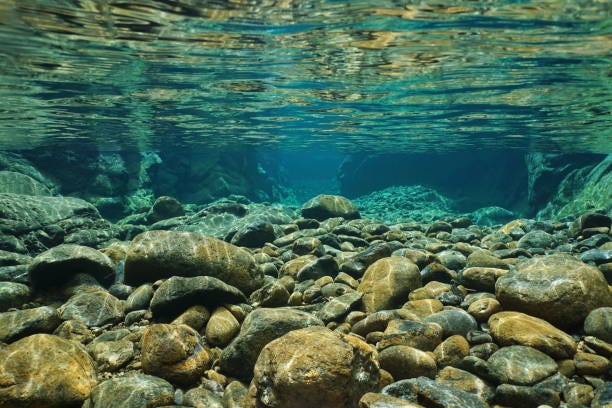 The Beauty of Rock Bottom. Hello everyone! Today, I am reporting… | by ...