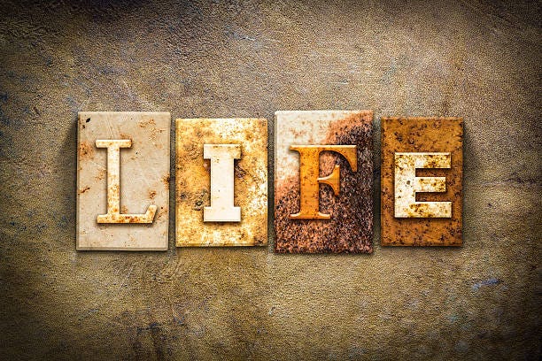 L.I.F.E PAGES. L .I. F. E / Little instructions for… | by Nwankwo ...