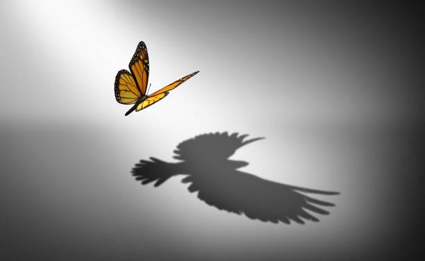 Fearlessness is Not the Absence of Fear | by Danielle Jerace | Dec ...