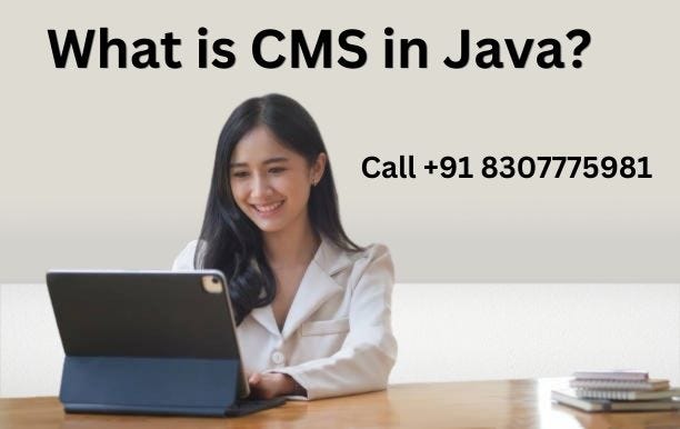 What is CMS in Java?. for CMS in Java call +91 8307775981 | by Finches Tech | Medium