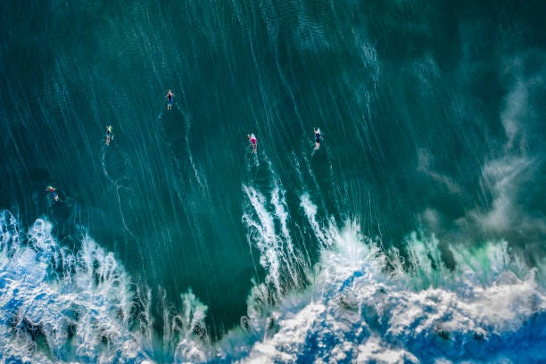 The surfer mindset. | by Ayi Post | Medium