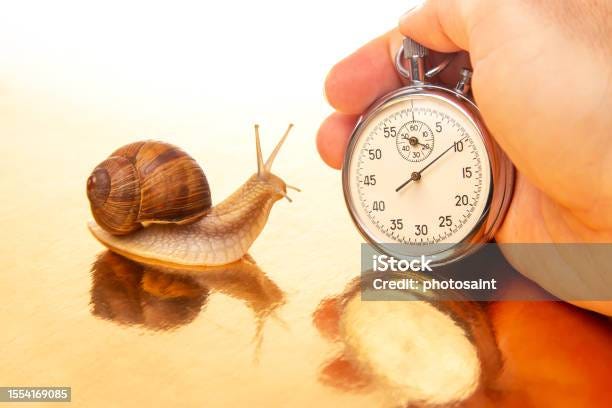 Quick & Slow Thinking: Understanding the Brain’s Decision-Making ...