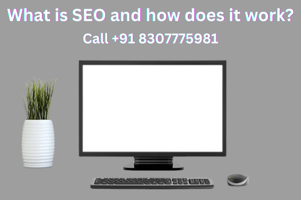 What is SEO and how does it work? | by Finches Tech | Medium