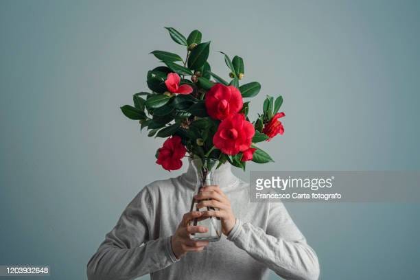 Te regalo rosas escritas | by Yeisson Bmonteal | Medium