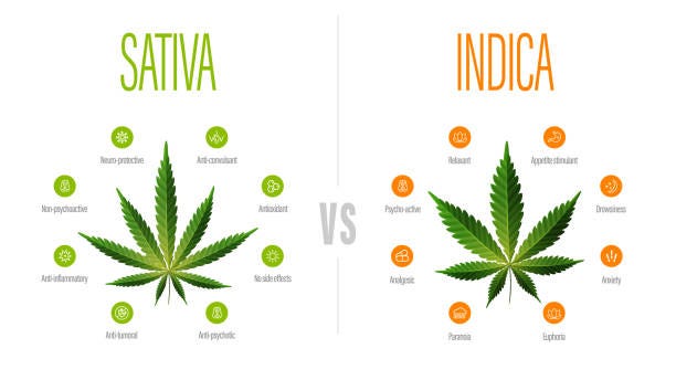 Know your weed. The only weed guide you need. | by Radio Suora 1920 ...