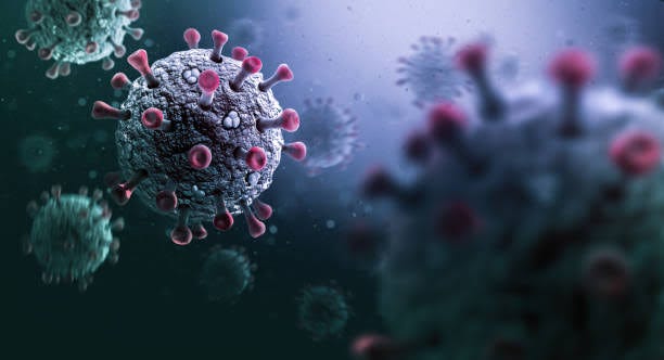 WHAT ARE COMPUTER VIRUSES AND HOW TO AVOID THEM | by Zainab Olivia ...