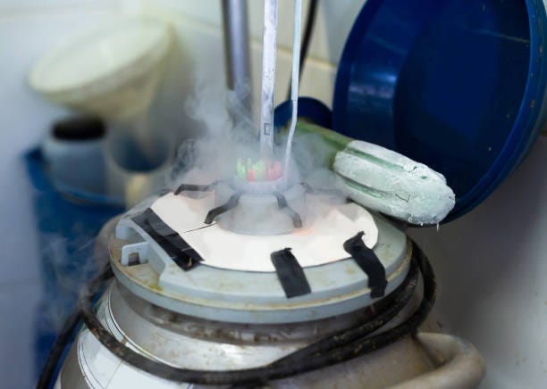 Plasma-Enhanced Chemical Vapour Deposition (PECVD) Market Forecasting ...