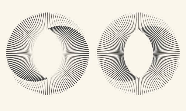 Story 8: Geometric Transformations – Shape & Degree, Images Have It ...