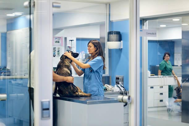 Why Our Kentwood Small Animal Clinic is Trusted by Many | by leonnick ...