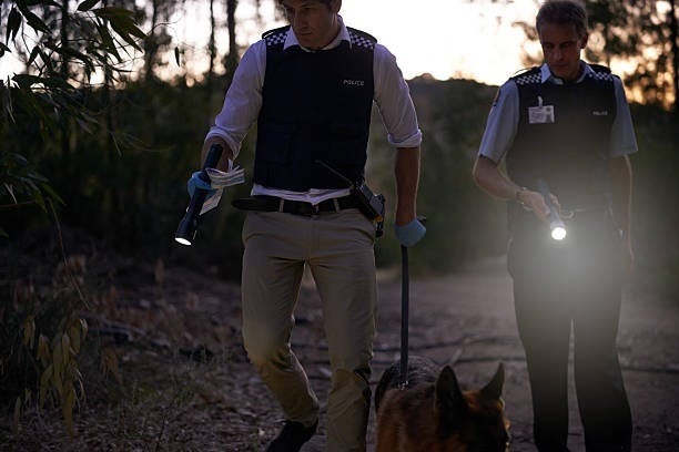 The Art of Investigation: Mastering the 10 Essential Skills for ...